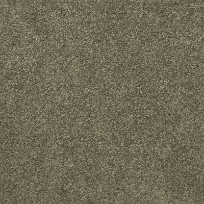 Empire | Stain Resistant Carpet | Belgotex NZ | SDN | Belgotex