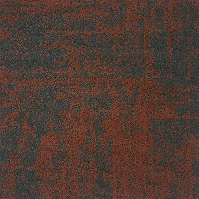 Academia | Belgotex