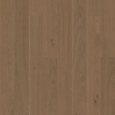 Bjelin XL Contrast | BJELIN European Hardened Timber | Belgotex