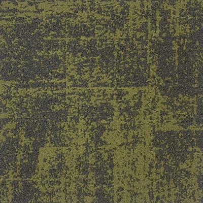 Academia | Belgotex