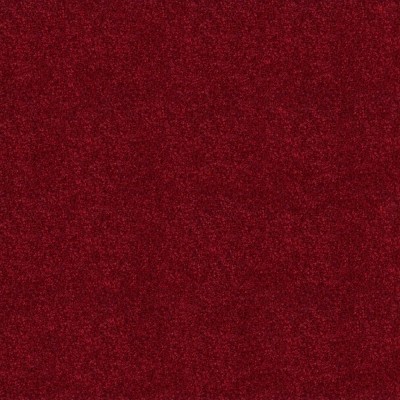 Westminster | Premium Stain Proof Nylon Carpet | Belgotex NZ | Premium ...